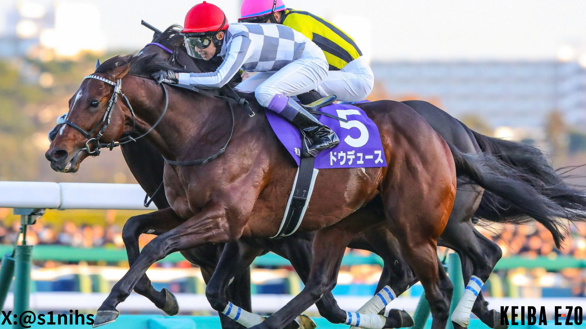 有馬記念 出馬表 | 2024年12月22日 中山11R | KEIBA EZO(ケイバイーゾ)