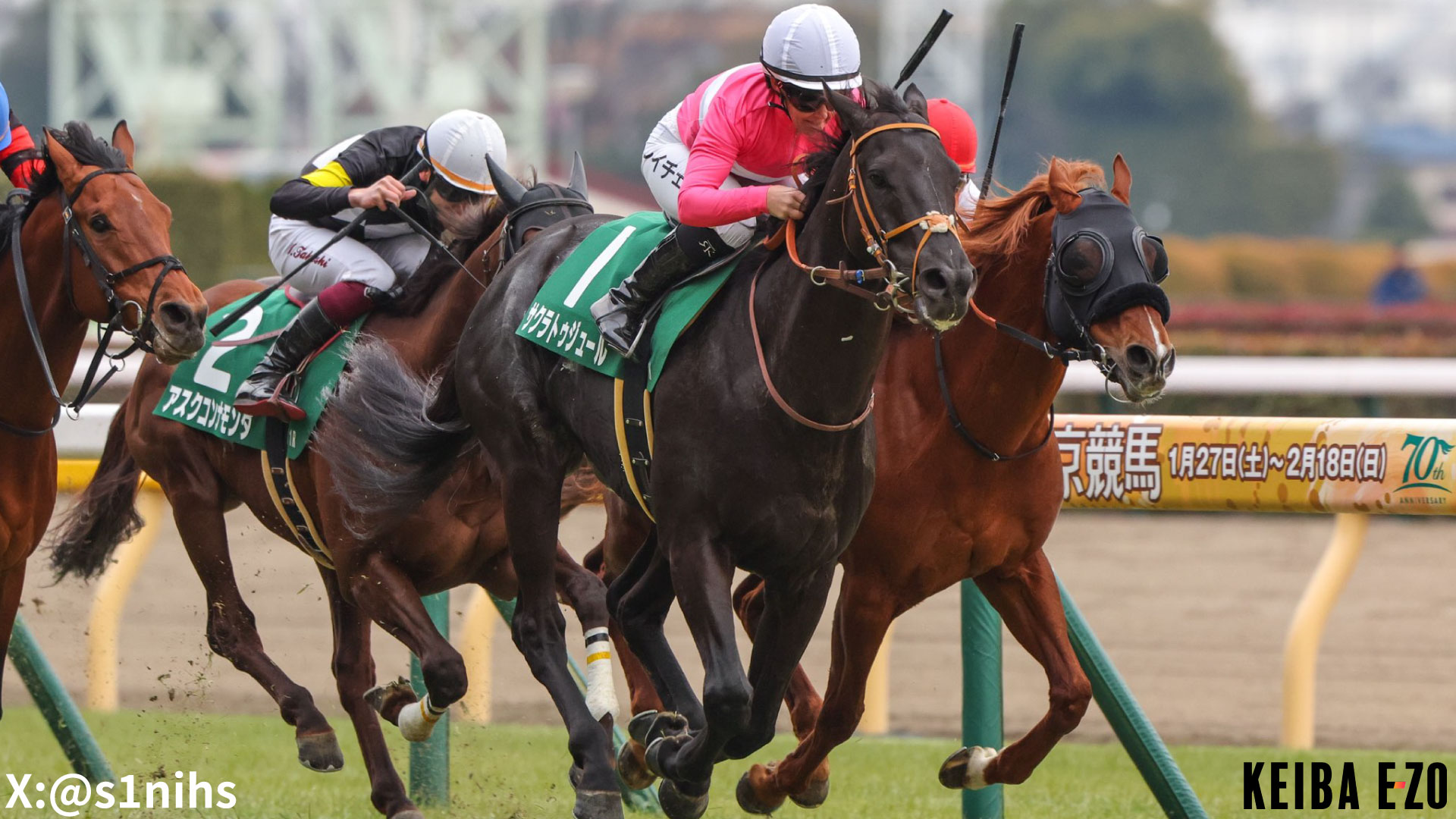 東京新聞杯 出馬表 | 2025年02月09日 東京11R | KEIBA EZO(ケイバイーゾ)