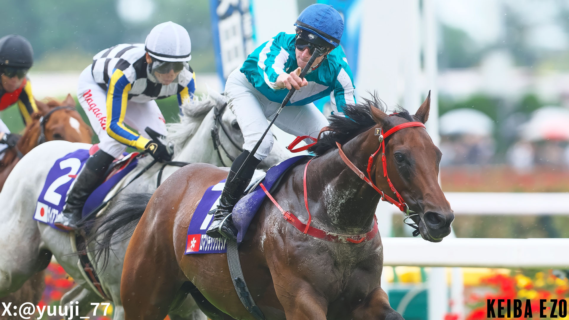 安田記念 想定オッズ | 2025年06月08日 東京11R | KEIBA EZO(ケイバイーゾ)